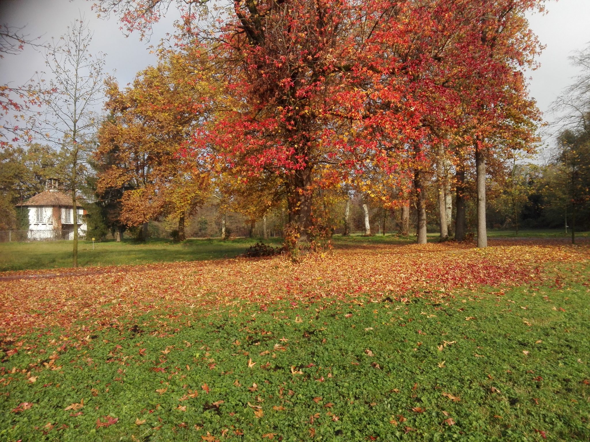 Parco di Monza: respiro di natura – Growbellis