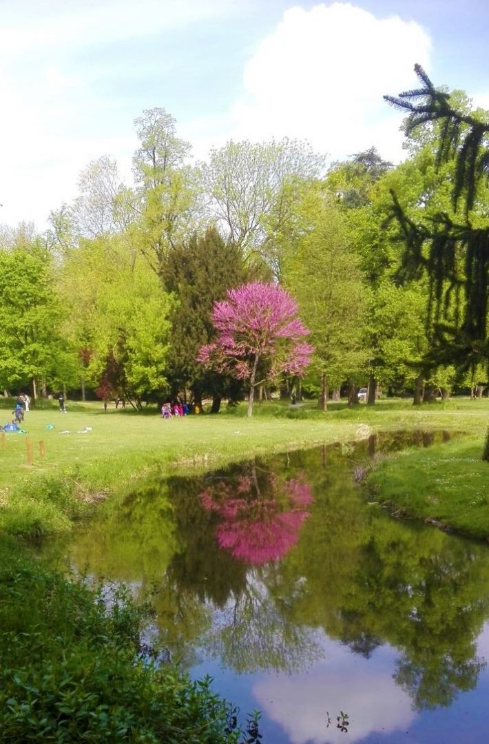 La primavera al Parco di Monza – Growbellis